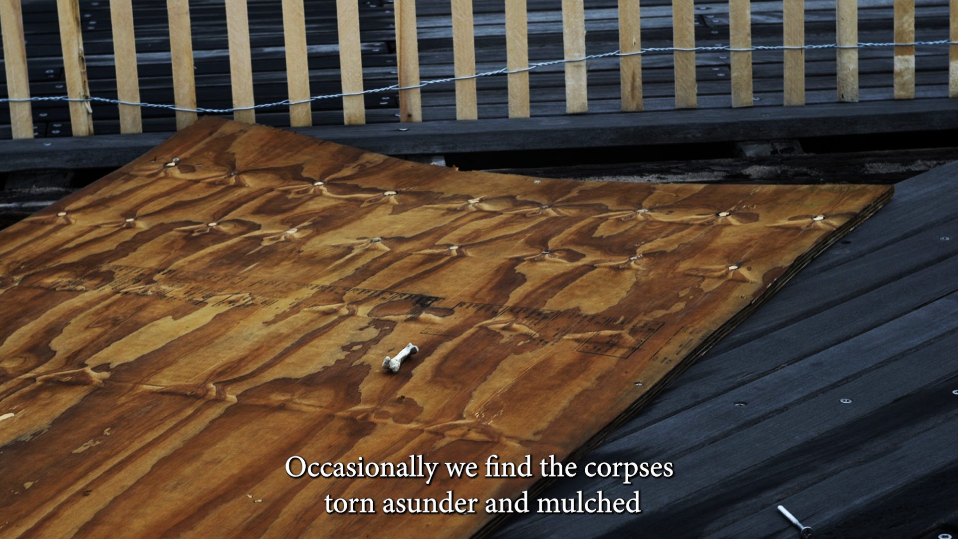 Dry Beach: The Photobook - by Dane Benko