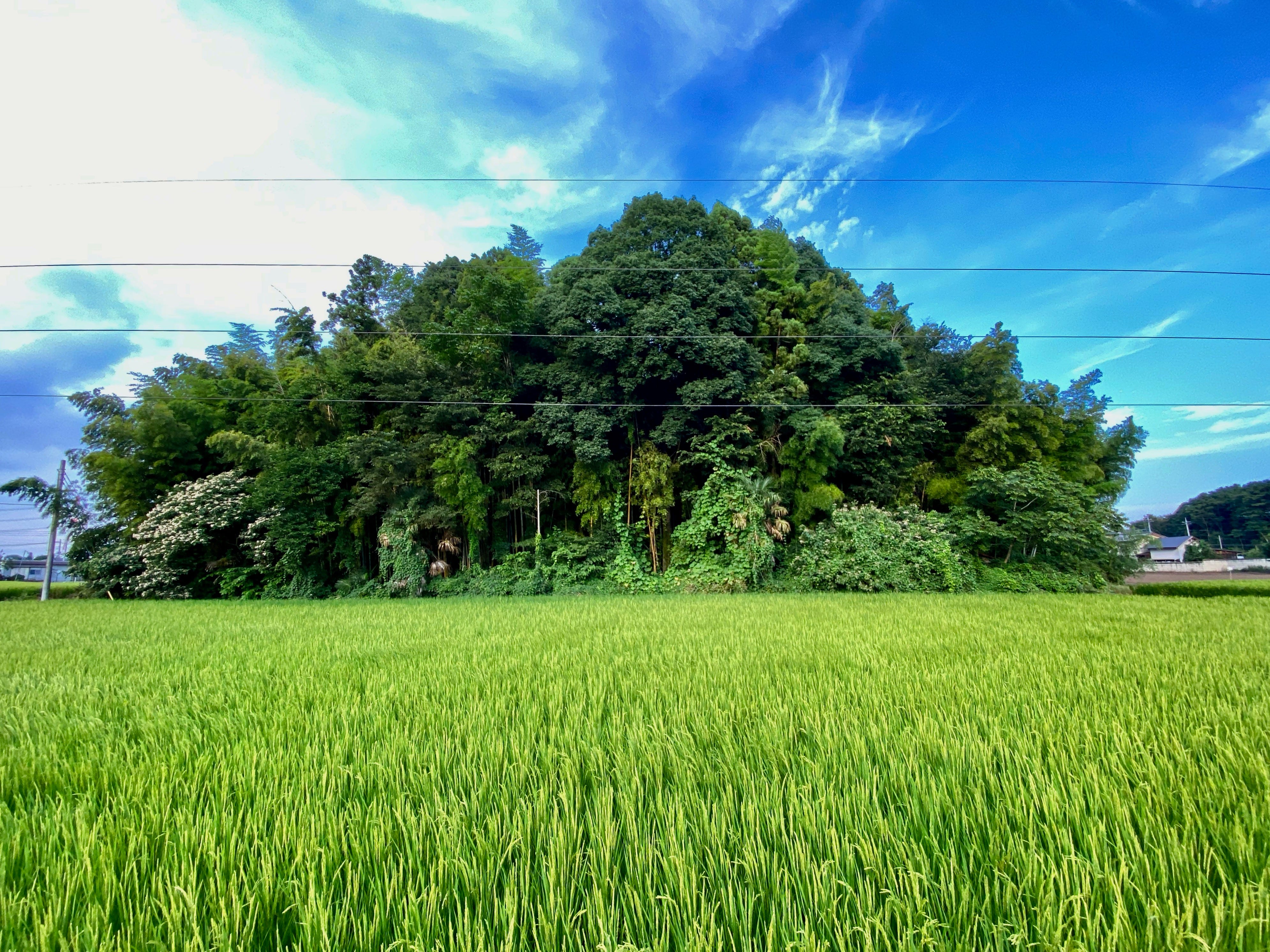 Doldrums - by Joel Neff - 91 Days