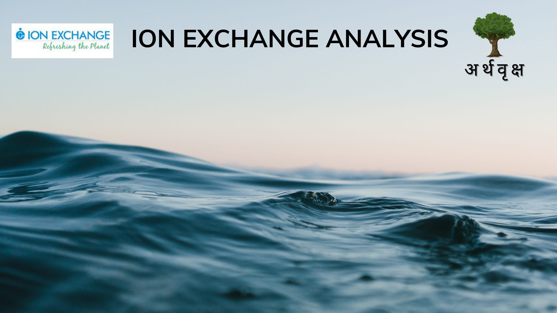 ION Exchange Analysis - Present Across the value chain?
