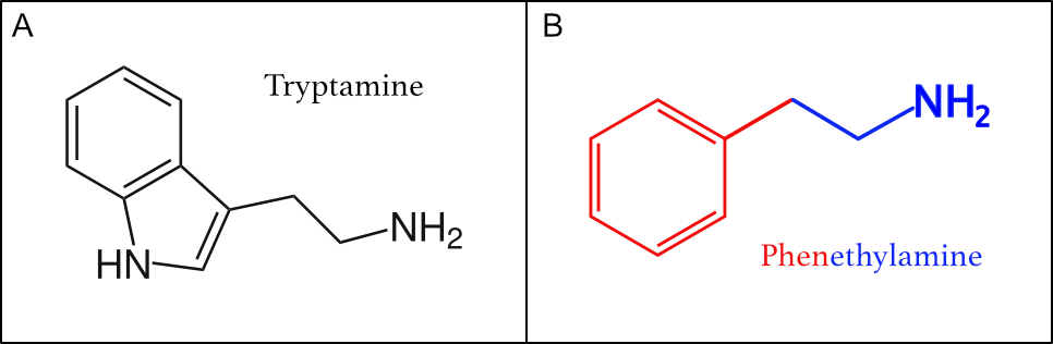 The Chemistry of Psychedelics - by Tyler Quigley - The Tab