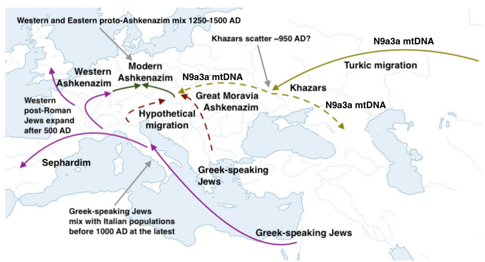 A coat of many colors: medieval-DNA findings detect interwoven strands ...