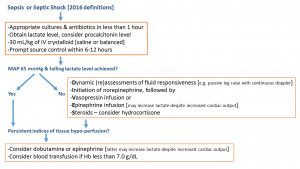 2016 Surviving Sepsis Guidelines: A Review and Analysis