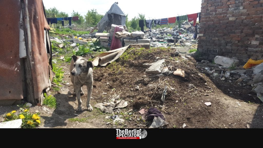 Hated, Incarcerated, Evicted, Discriminated: Bulgaria's Roma Minority