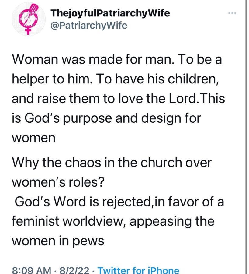 Shellie Martin (aka The Joyful Patriarchy Wife) Has Passed Away