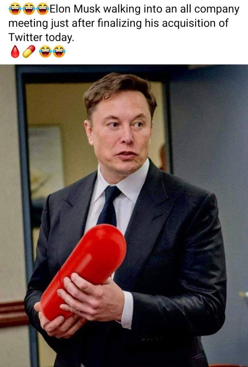 Momentous Musk Memes 😁 - by Monica Hughes PhD