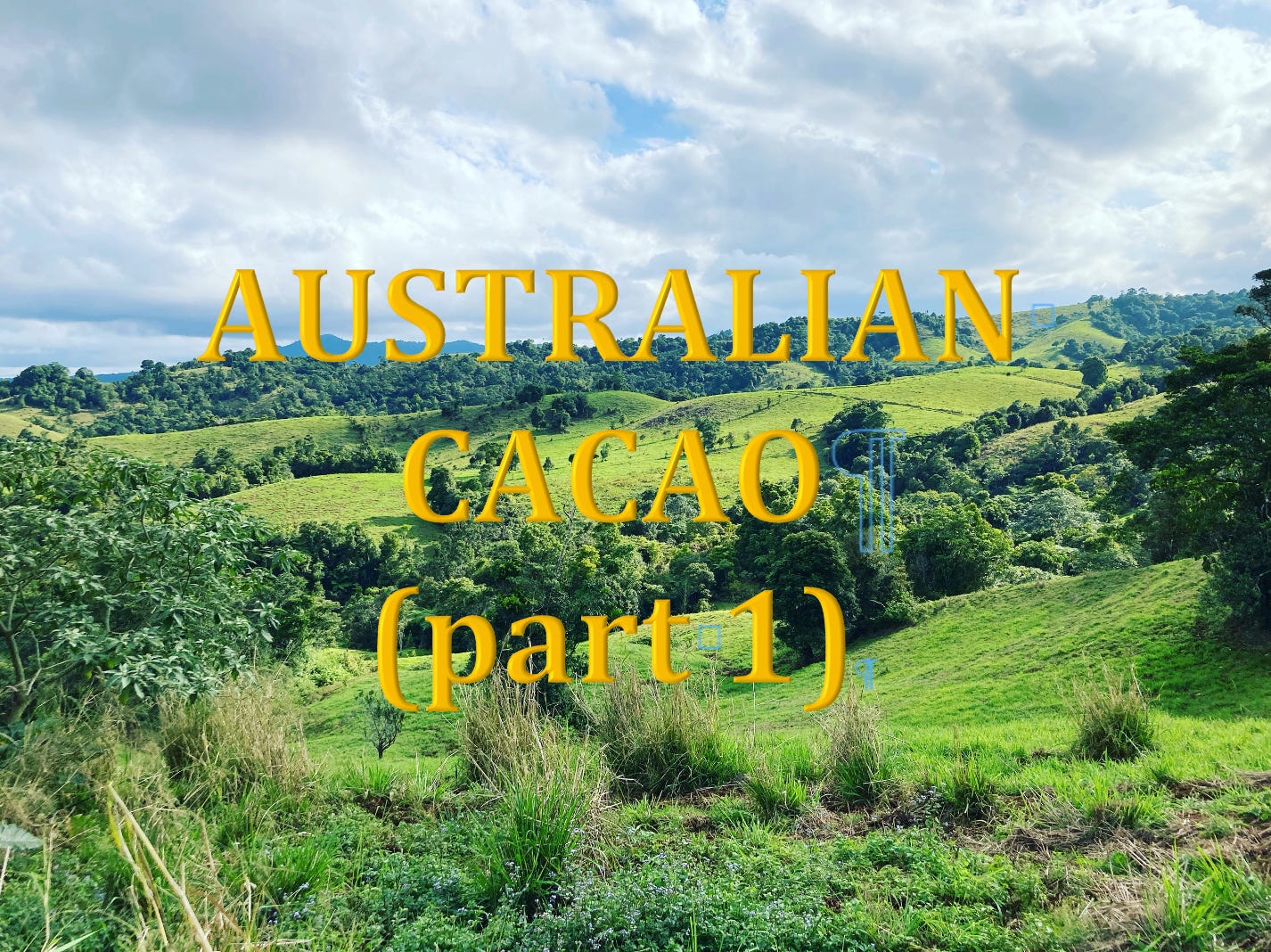 Issue 25: Cacao farming in Queensland - by Giselle