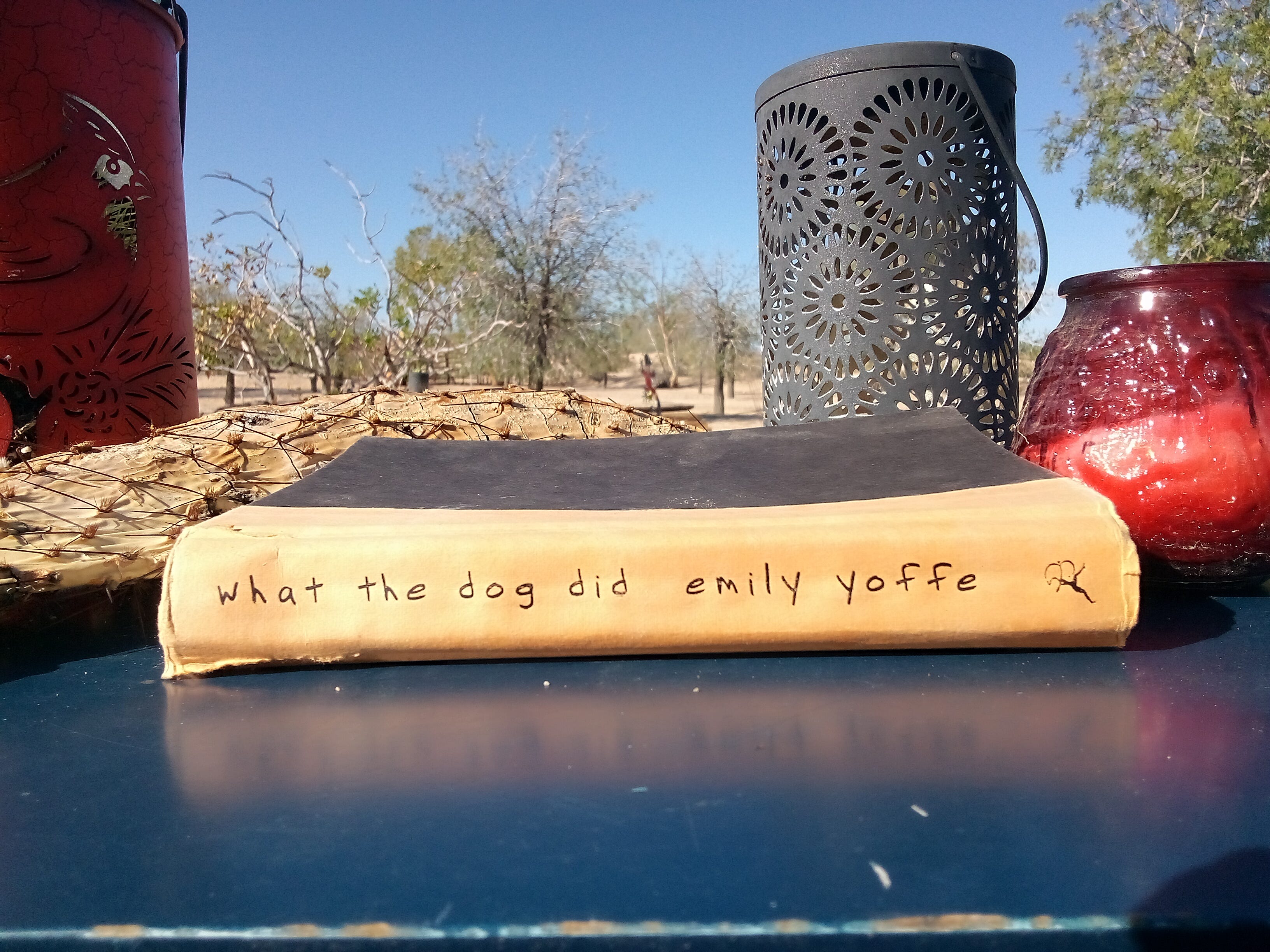 Book of the Day - "What the Dog Did: Tales from a Formerly Reluctant ...