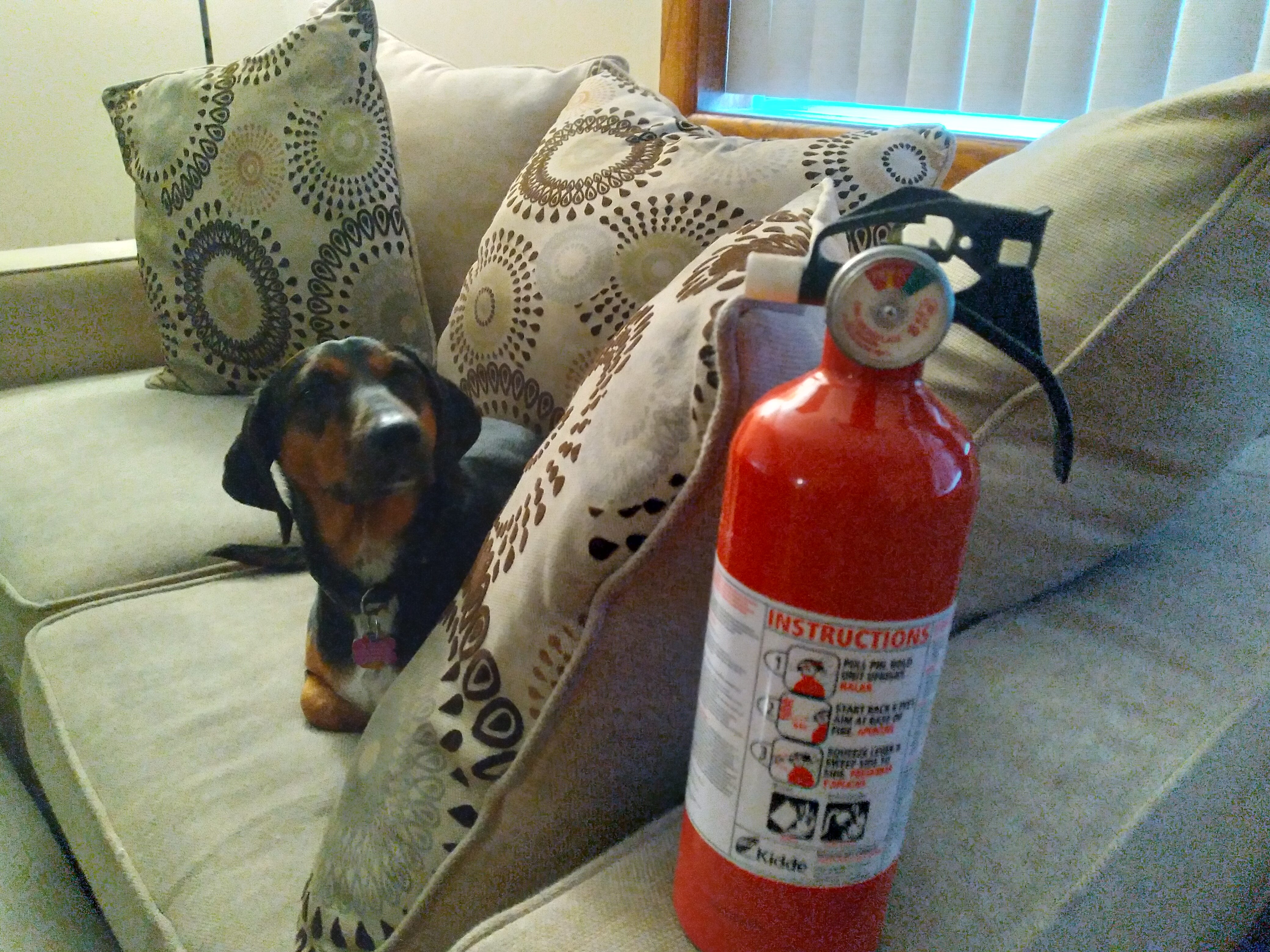 Listen to your dog when fire is near