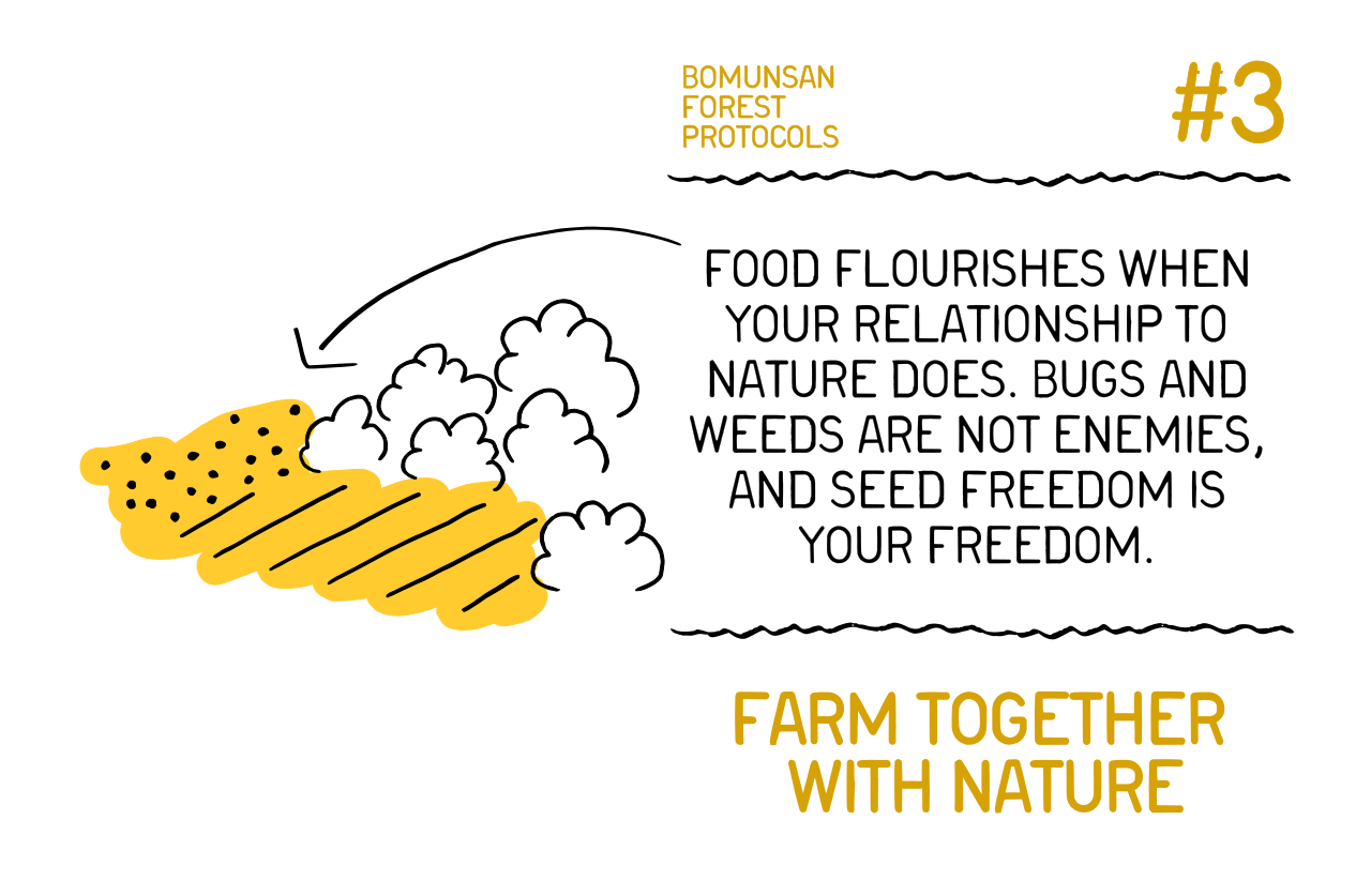 BFP #3: Farm Together with Nature - by Patrick M. Lydon