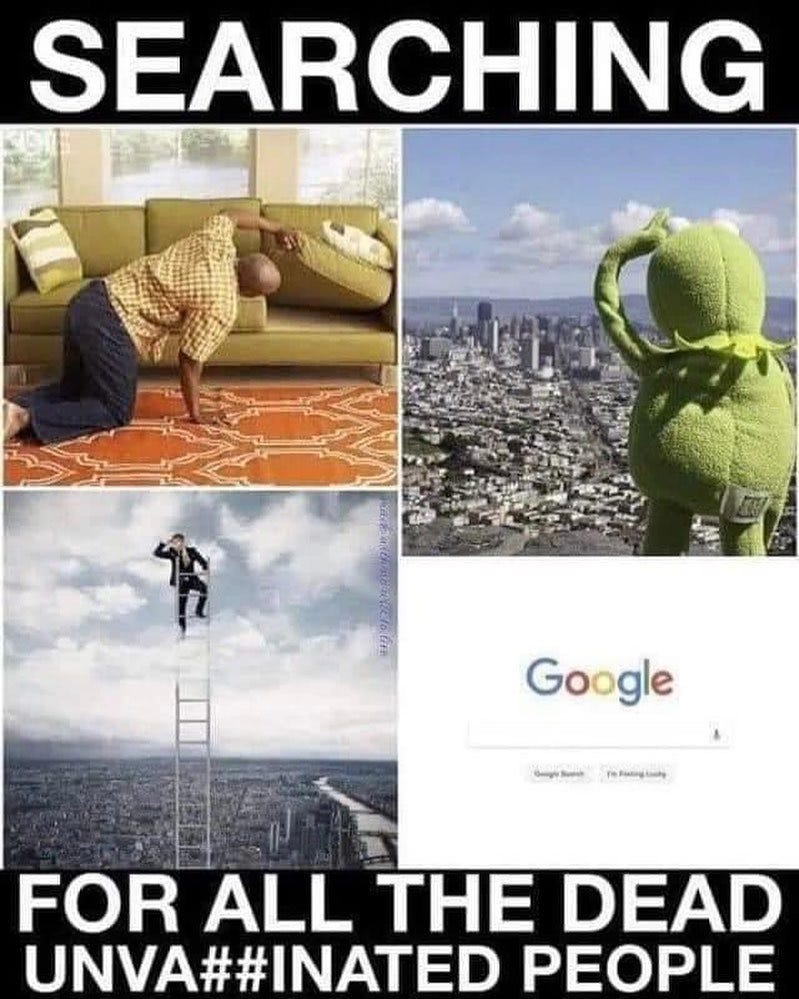 Memes About Amnesty - by Amy Sukwan - Amy’s Newsletter