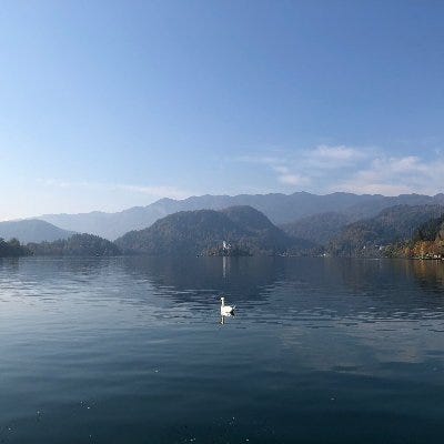 Introspective Capital | Substack