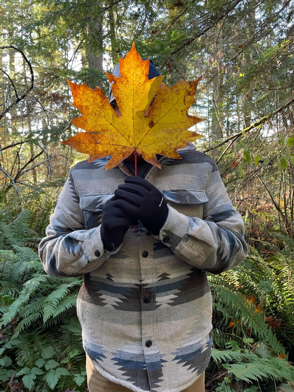 S. R. Smith | Substack