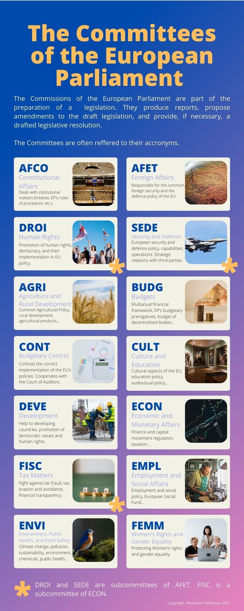 Infographic: The Committees of the European Parliament