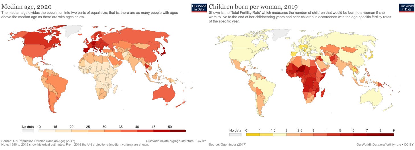 Vanishing People: the Population Crisis - by Ryan McEntush