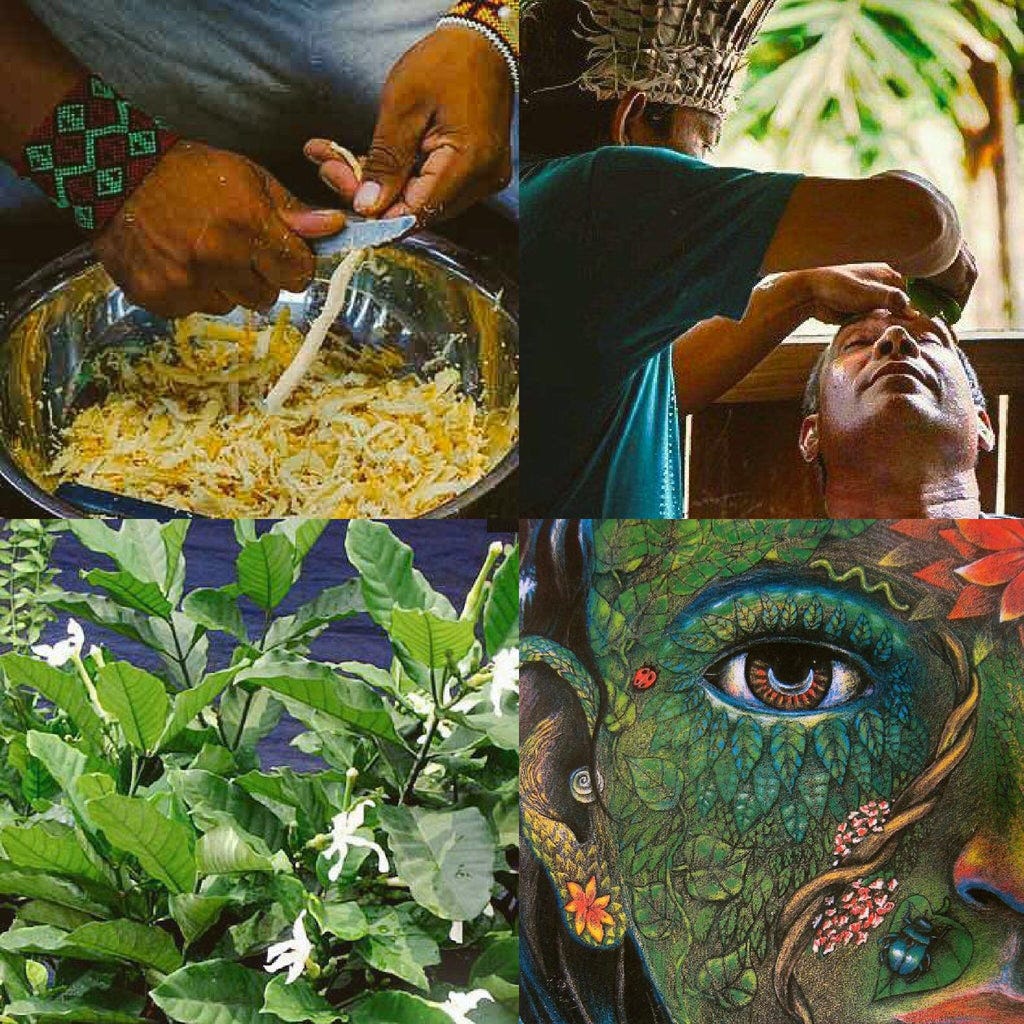 Sananga Unveiled: What Is Sananga And Its Origins? - Nautic Sant Antoni