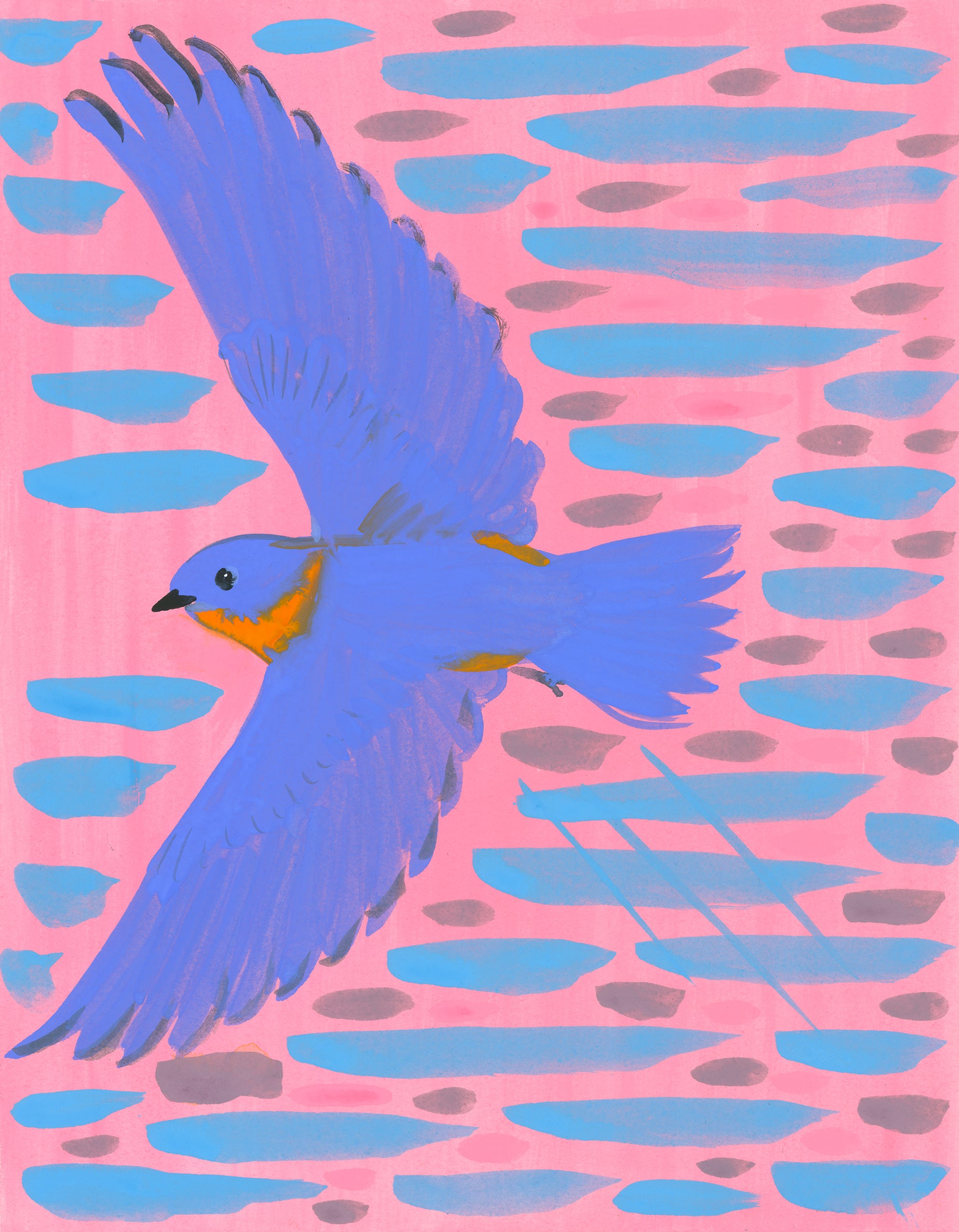 Wild Life / eastern bluebird - by Amy Jean Porter