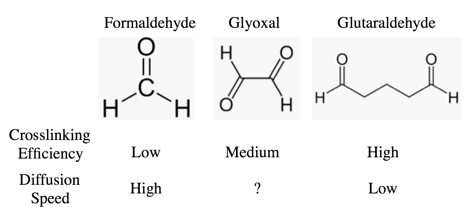 Seven approaches for accelerating immersion fixation in brain banking