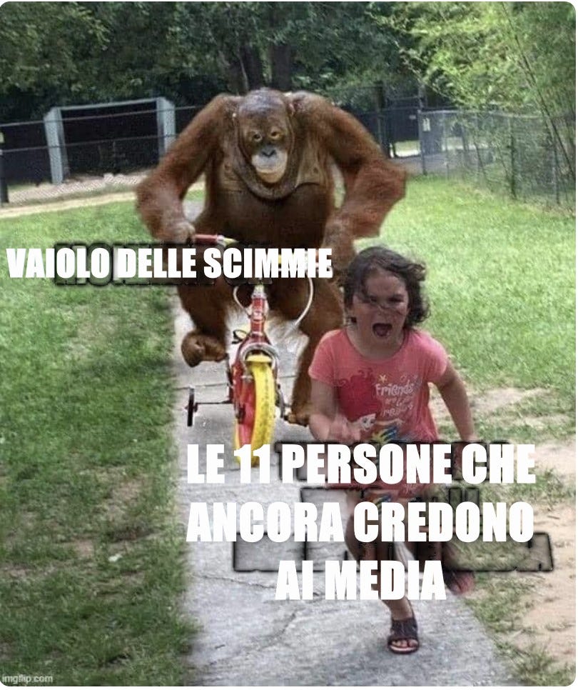 Tradu-Vignette del weekend - by Daniela Brassi - TdML