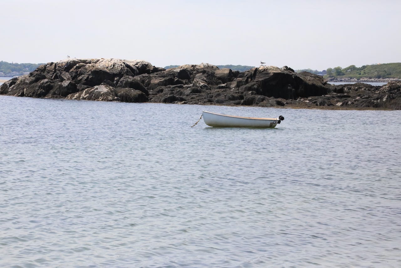 Optics - by Sheila Moeschen - Stay Curious