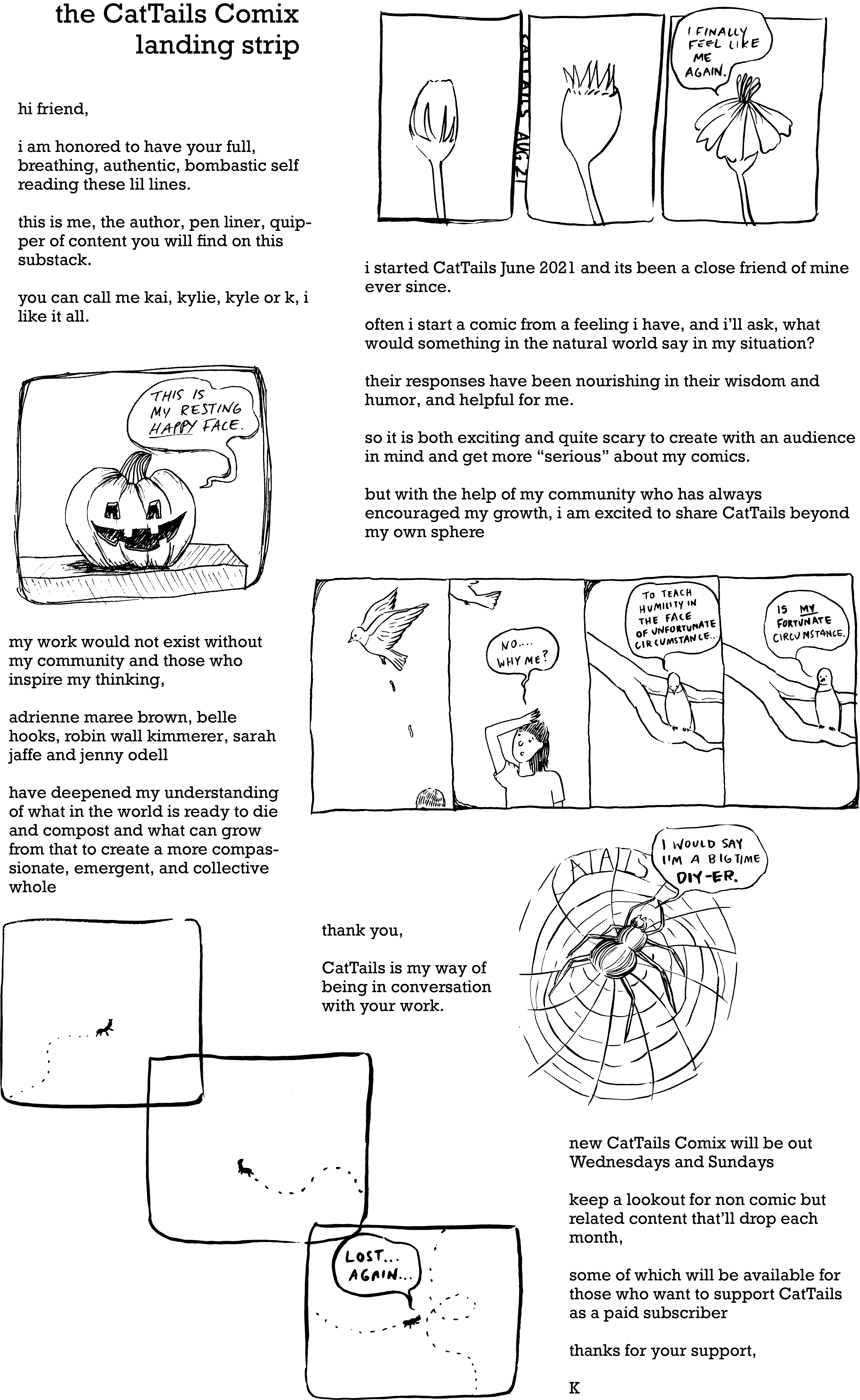 CatTails Landing Strip - Cattails Comix