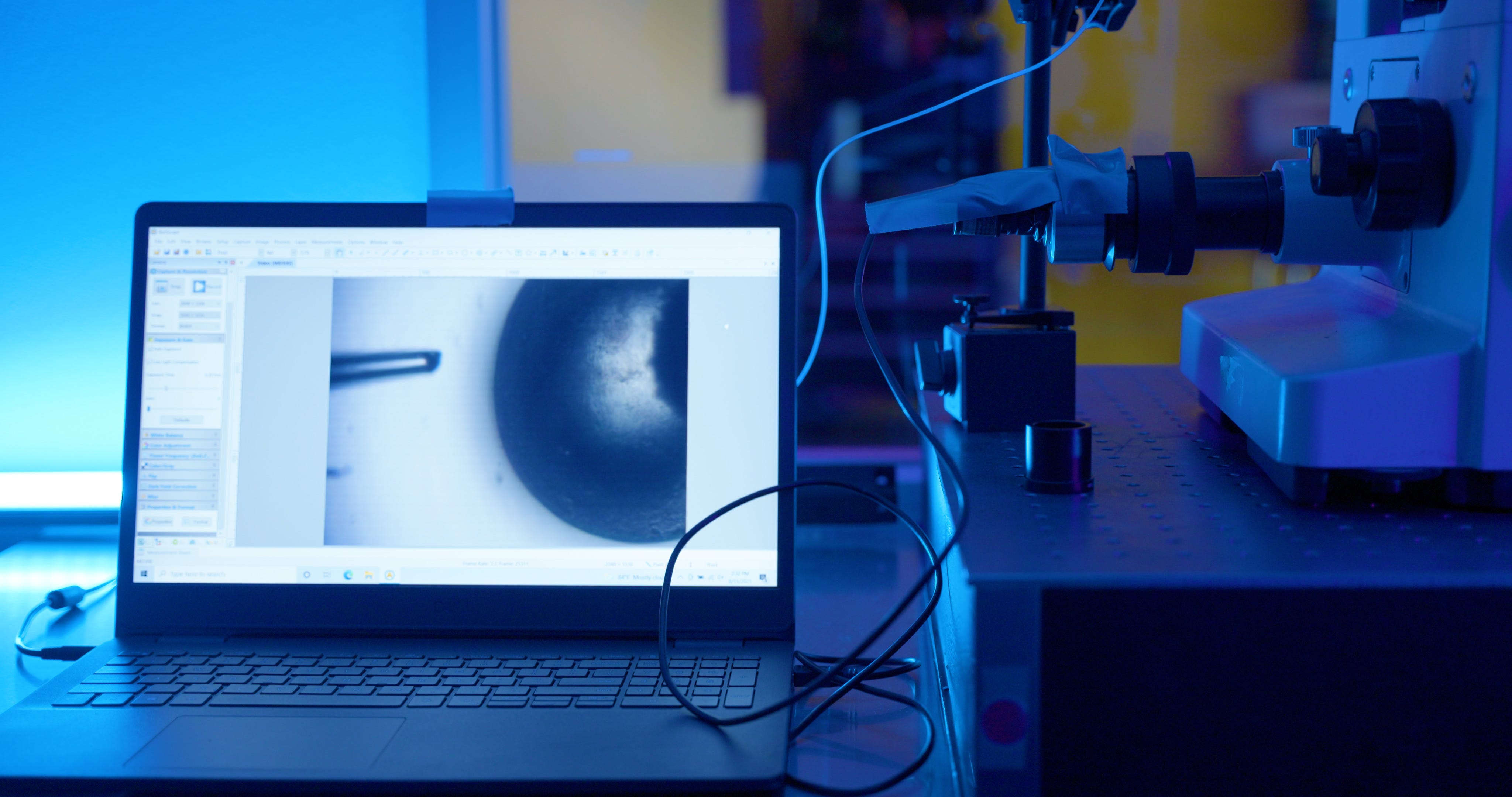The death of SynthBio companies and my other predictions for Biotech in ...