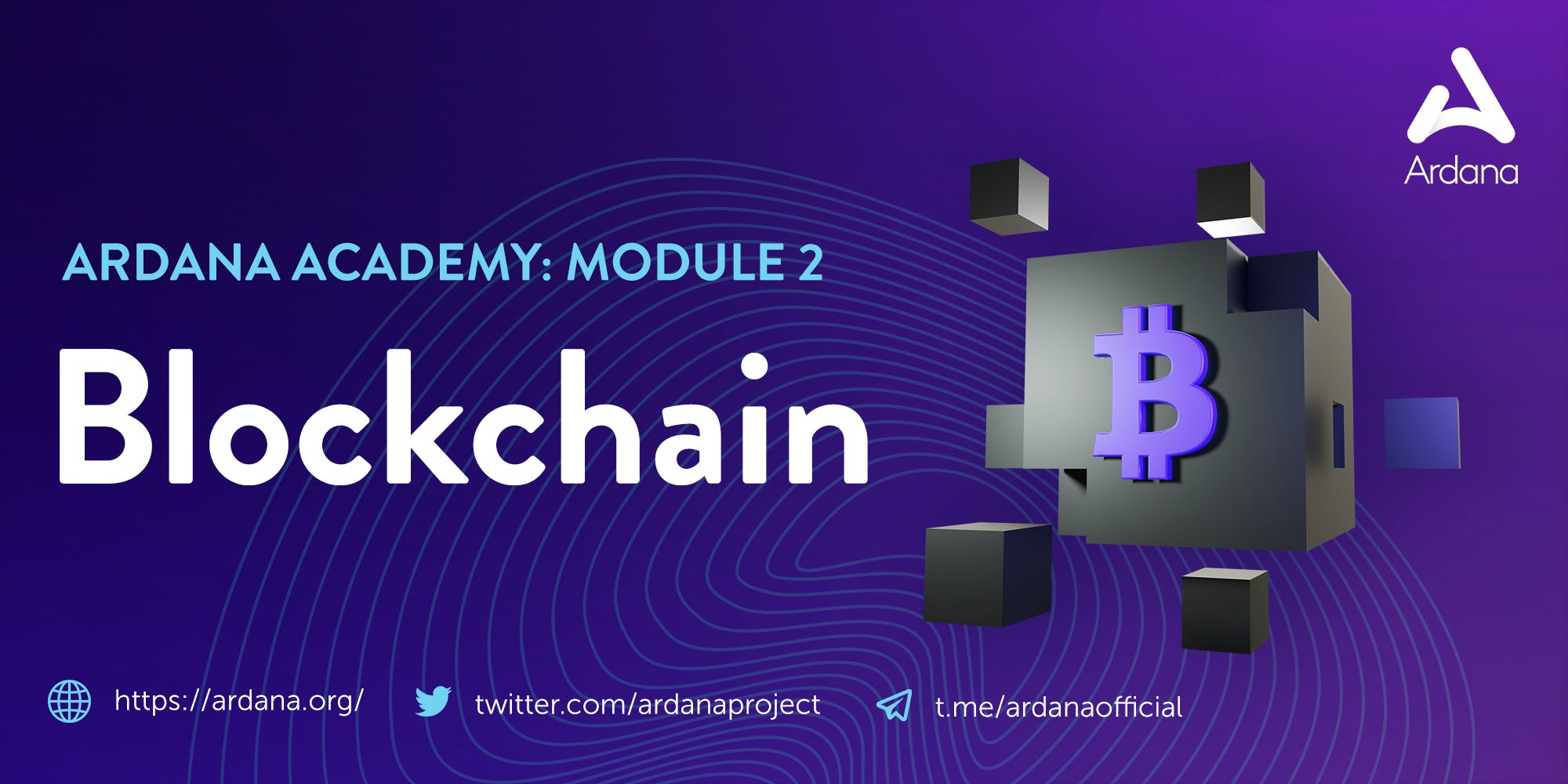 Module 2: Blockchain - Ardana Academy
