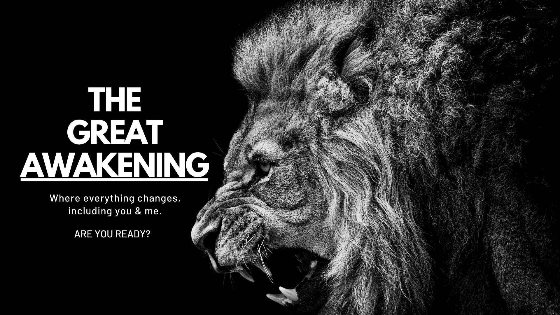 Great Awakening 101 Resources - The Awake Coach | Awake 101
