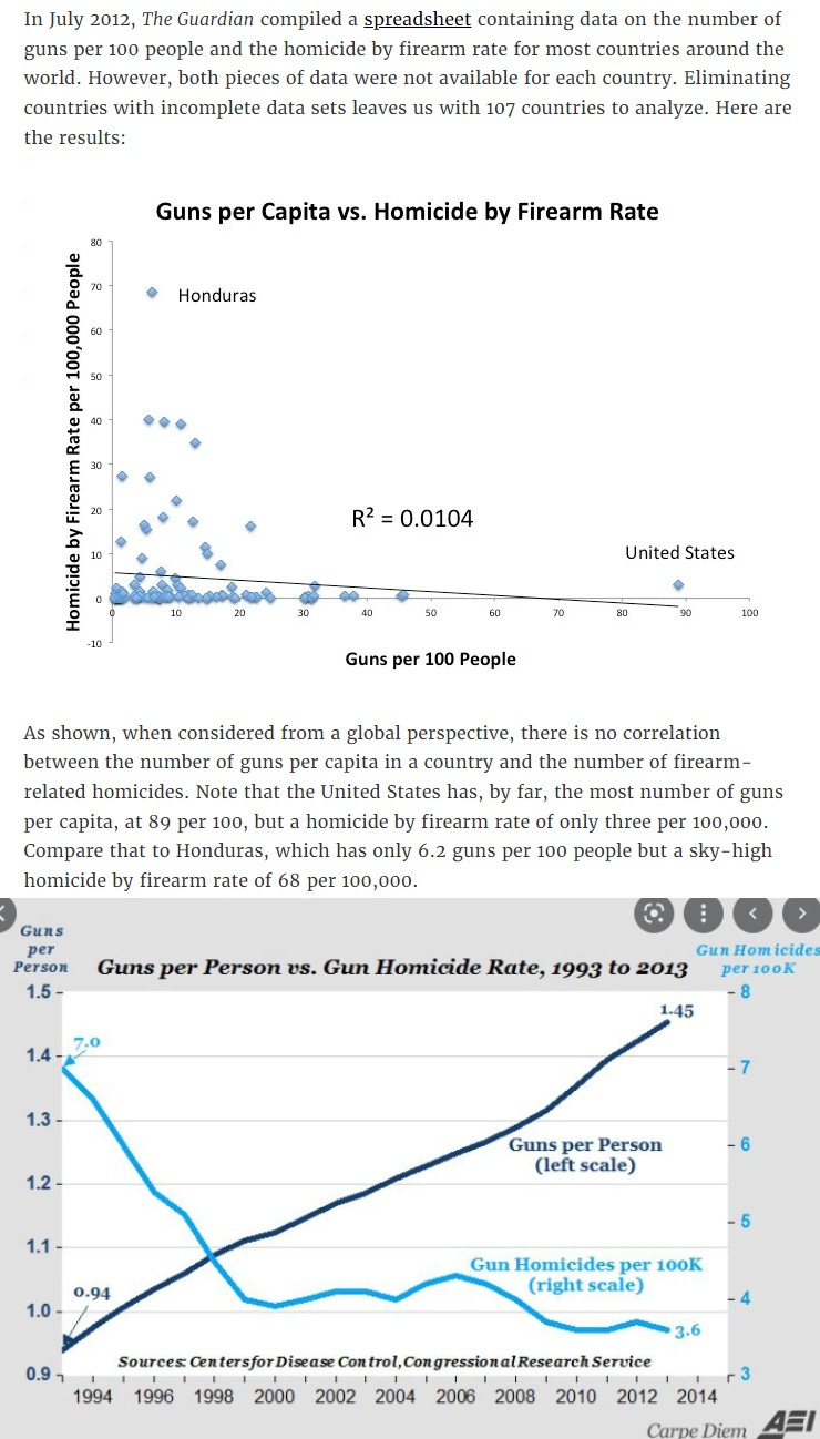 guns and government - by el gato malo - bad cattitude