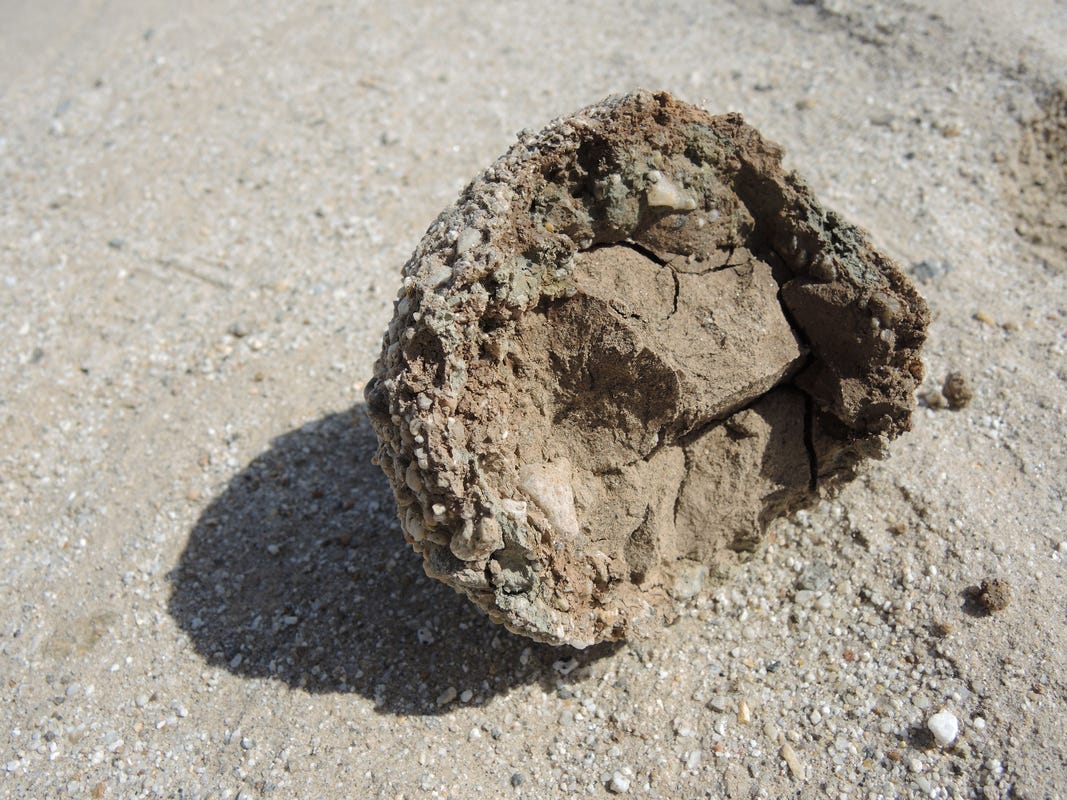 A Rolling Mud Ball Gathers Stones - by Walter Tschinkel