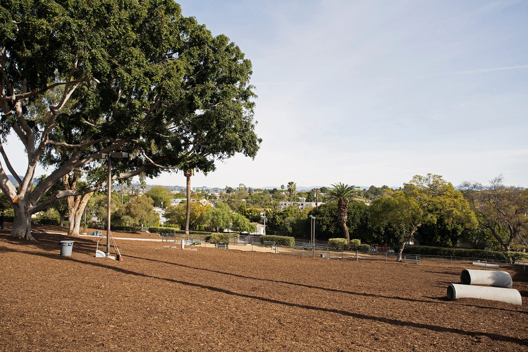 The Street Seen: Joslyn Park - by Mark Gorman
