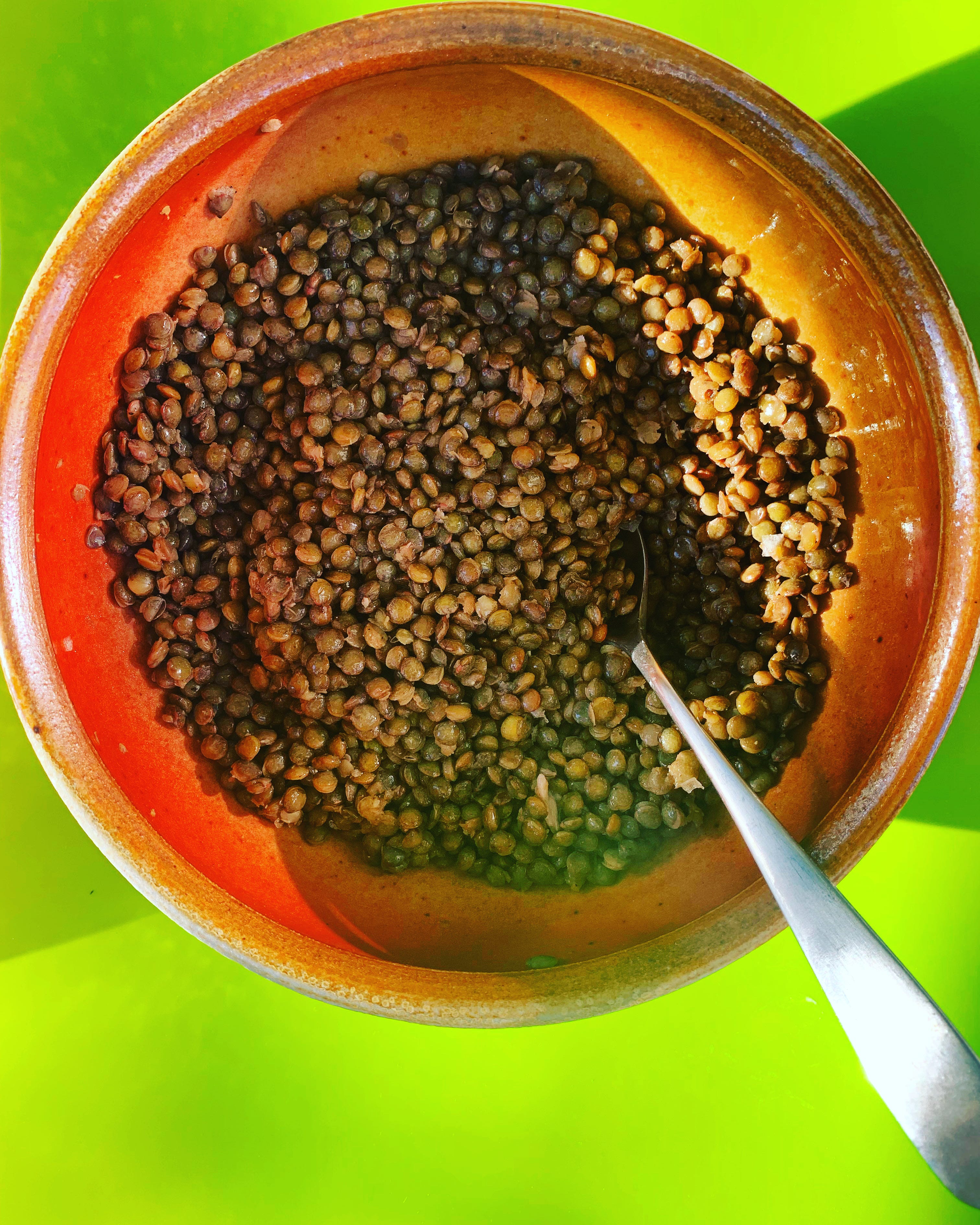 The Many Lives of a Pot of Lentils - by emily nunn