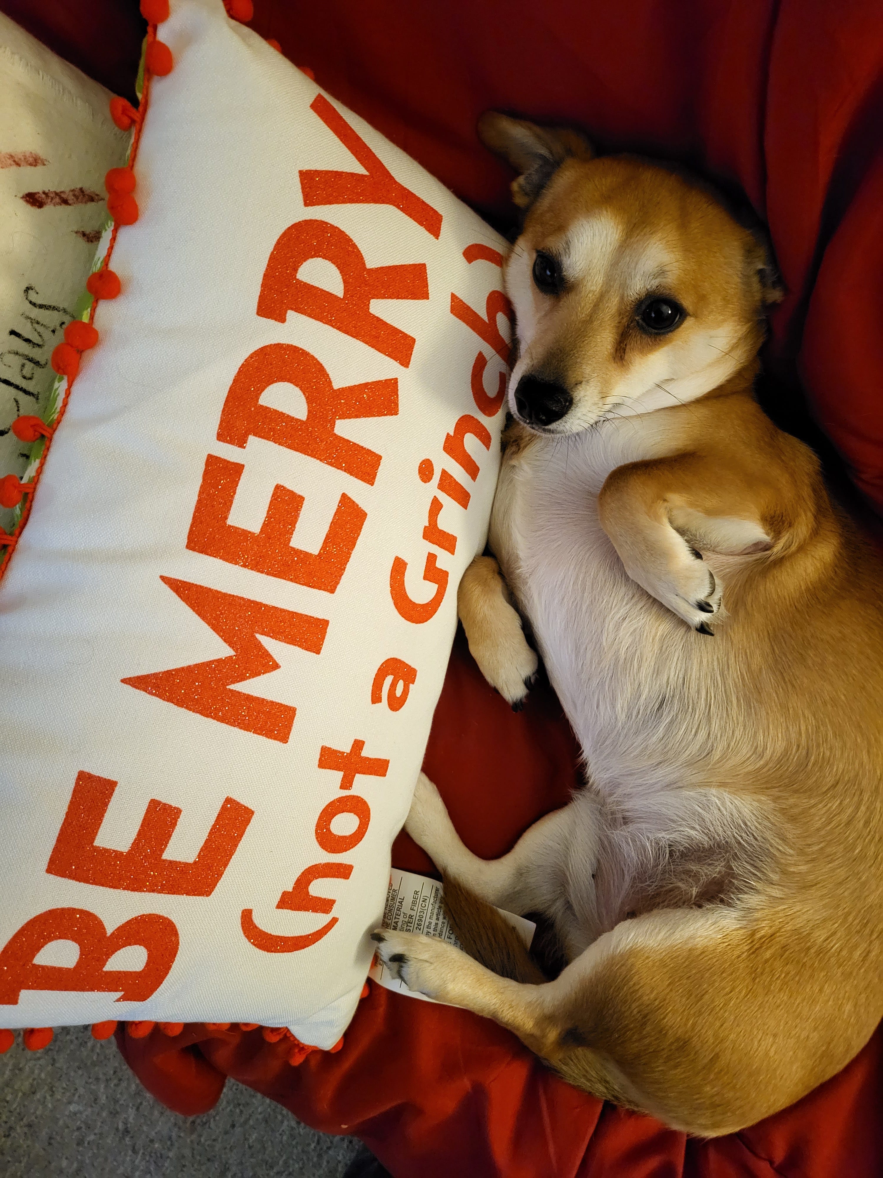 Playing With The Future - by Leo Guinan