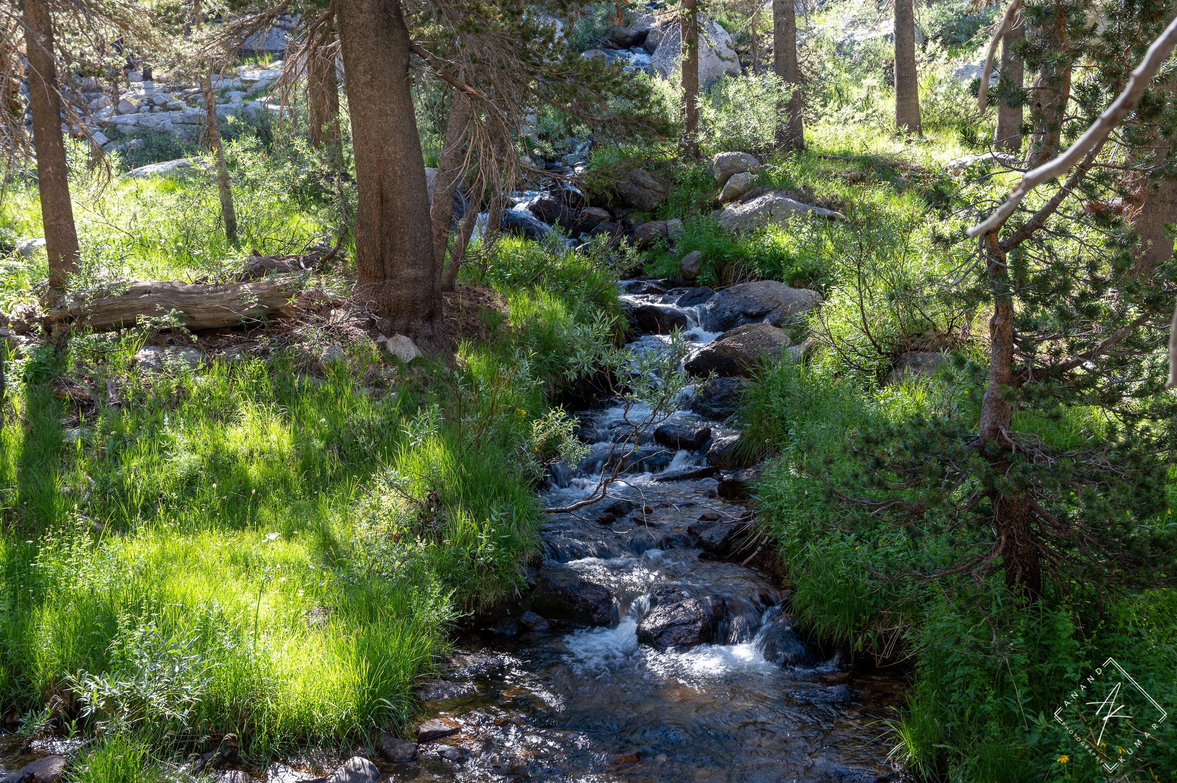 High Sierra Camp loop - by Anand Sankaran - NorcalHiker