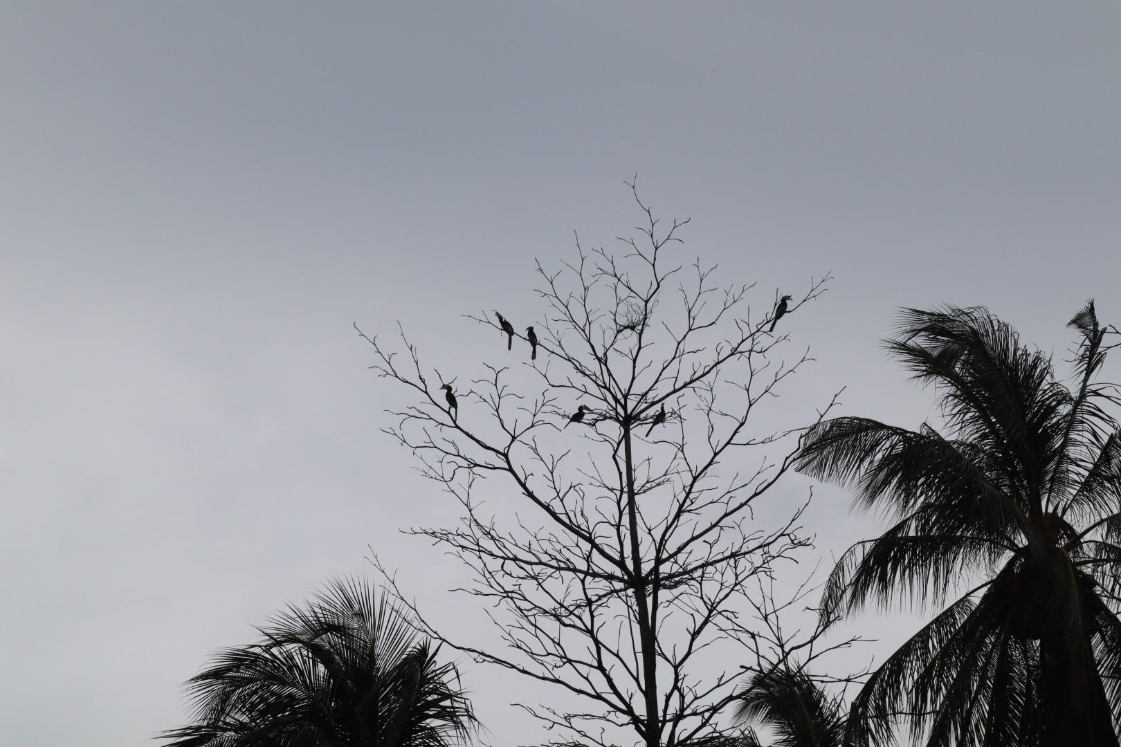 The Trang Archipelago - Thailand — with Flora and Lachie