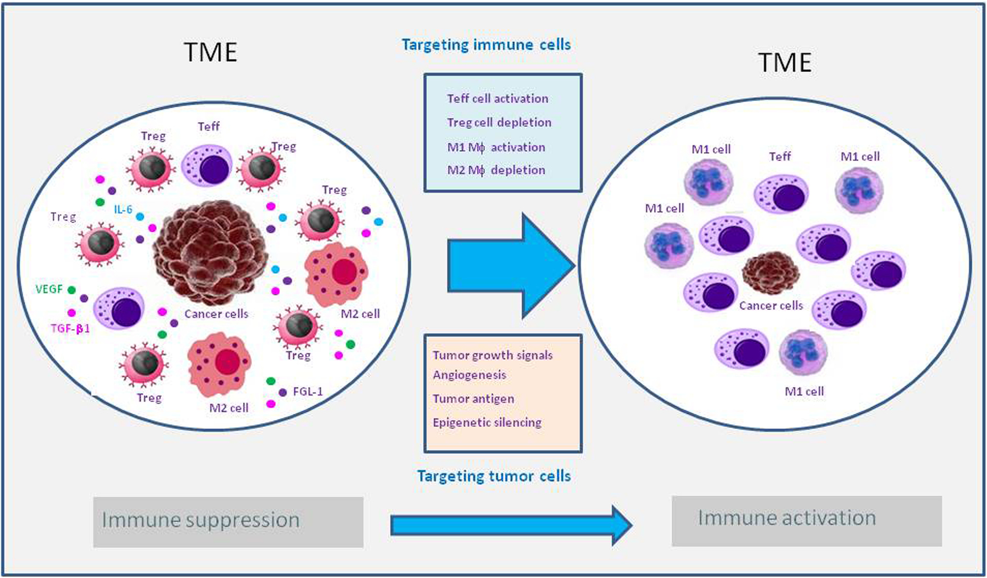 Spike protein (inc vax) induced immunodeficiency & carcinogenesis ...