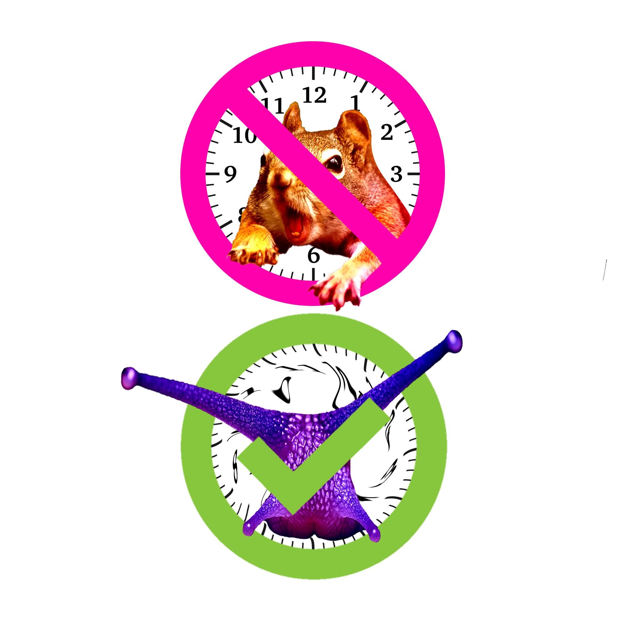 Time Sickness - by Jesse Meadows - Sluggish