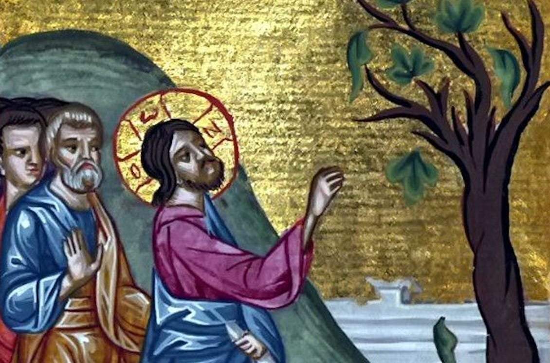 This one time Jesus cursed a fig tree - by Worst of Bibel