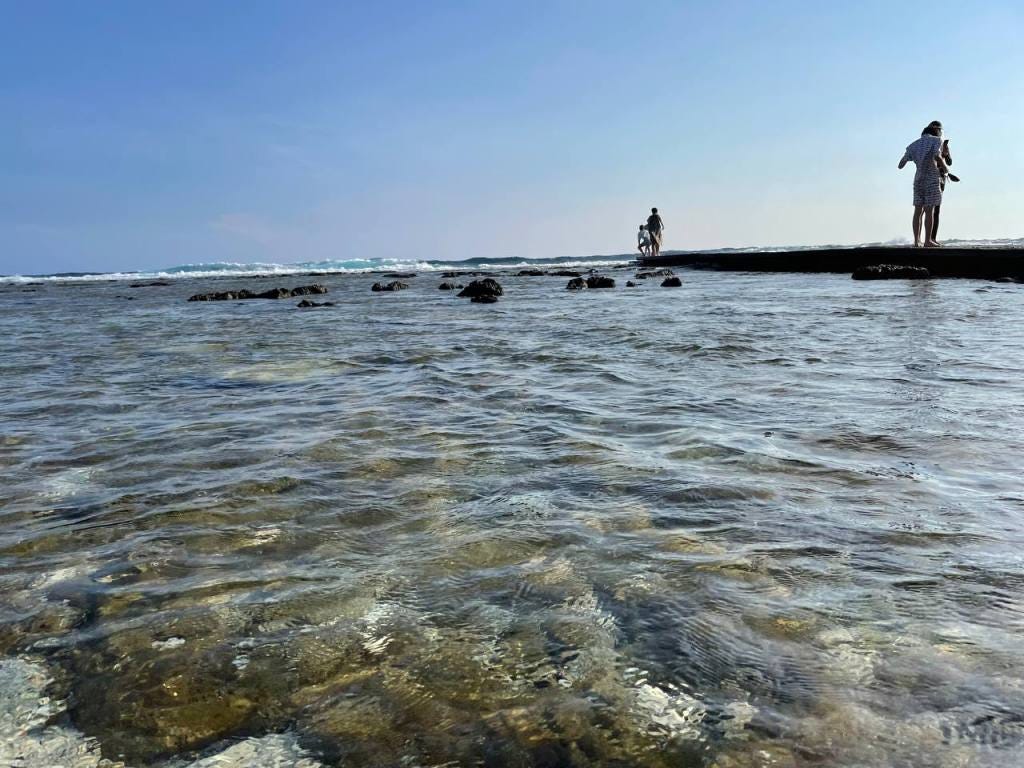 夏至的綠島海泳 - T.H. Schee @ Substack