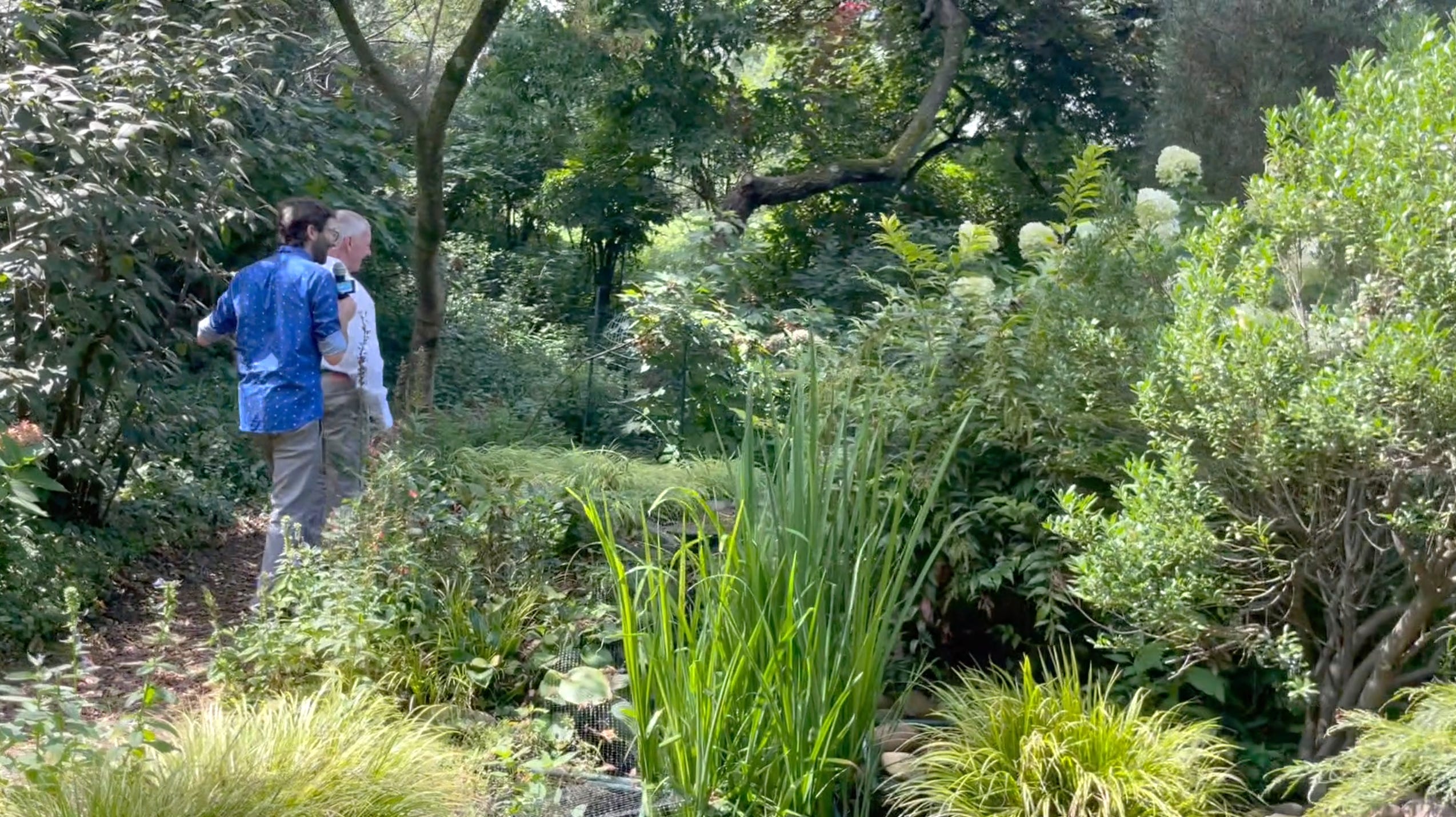 I Found Pittsburgh's Secret Garden - by Boaz Frankel