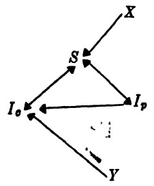 Celebrating an early female pioneer: Barbara Stoddard Burks