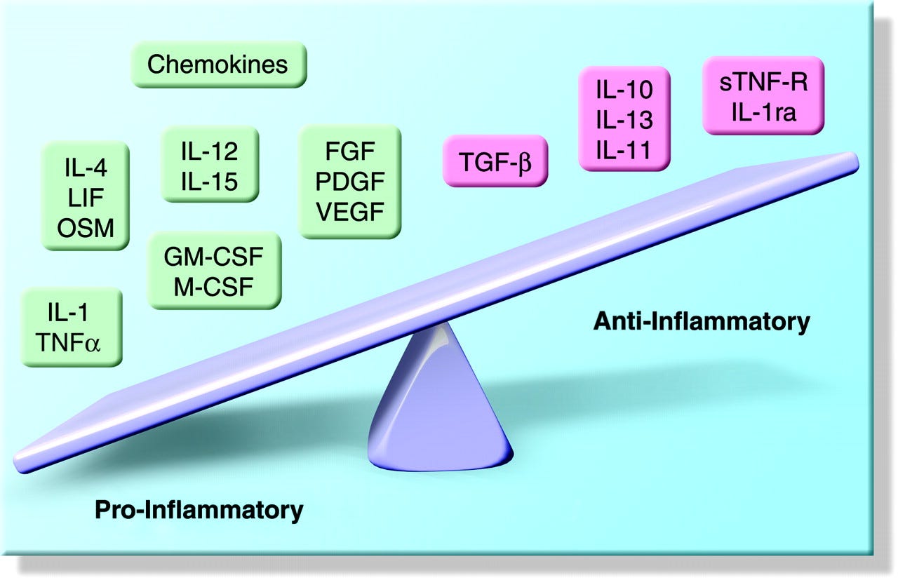 PCOS and Inflammation: Management With Fat Loss