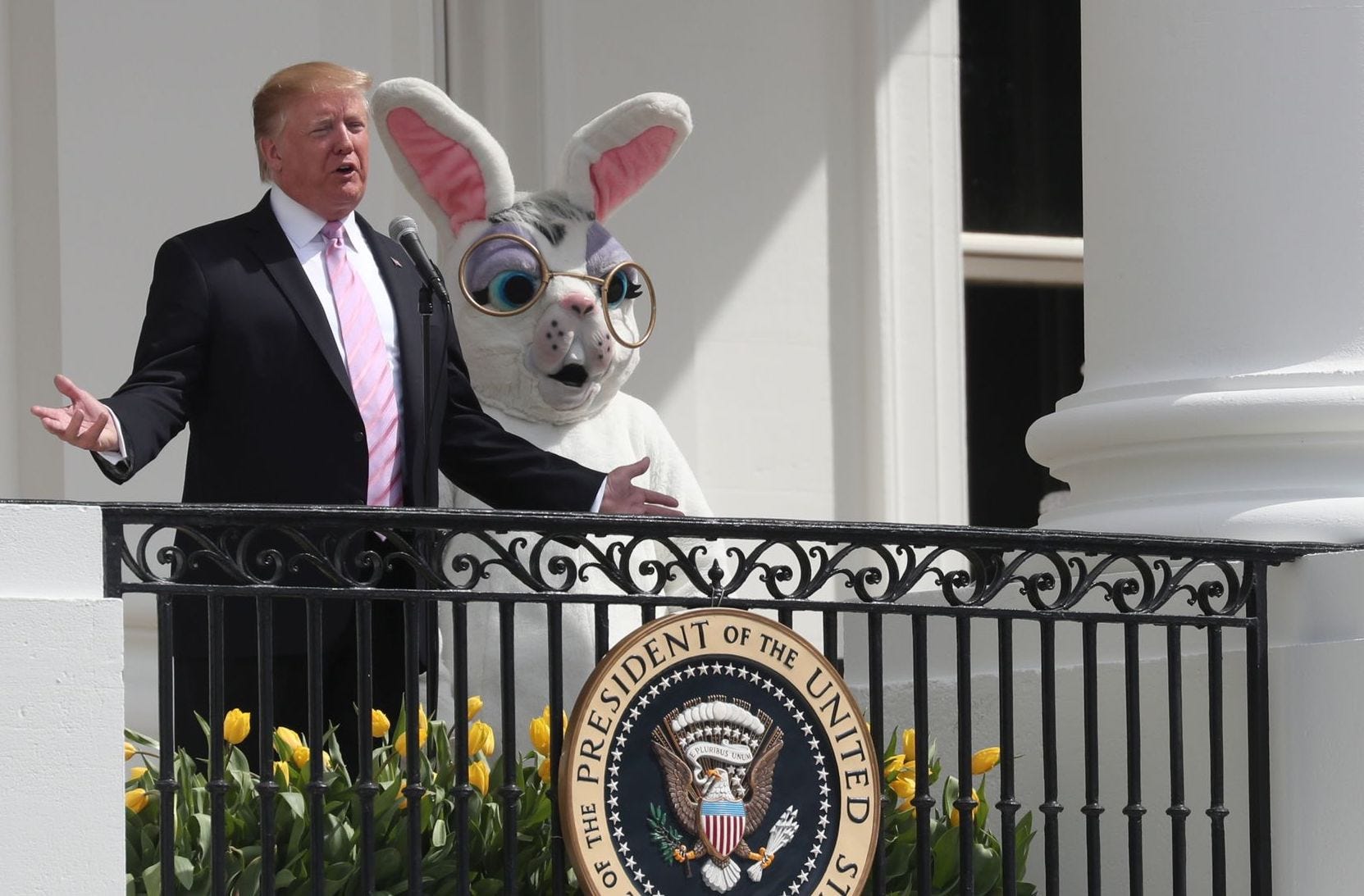 QProofs: "Learn Our Comms" - by Lawrence Druce