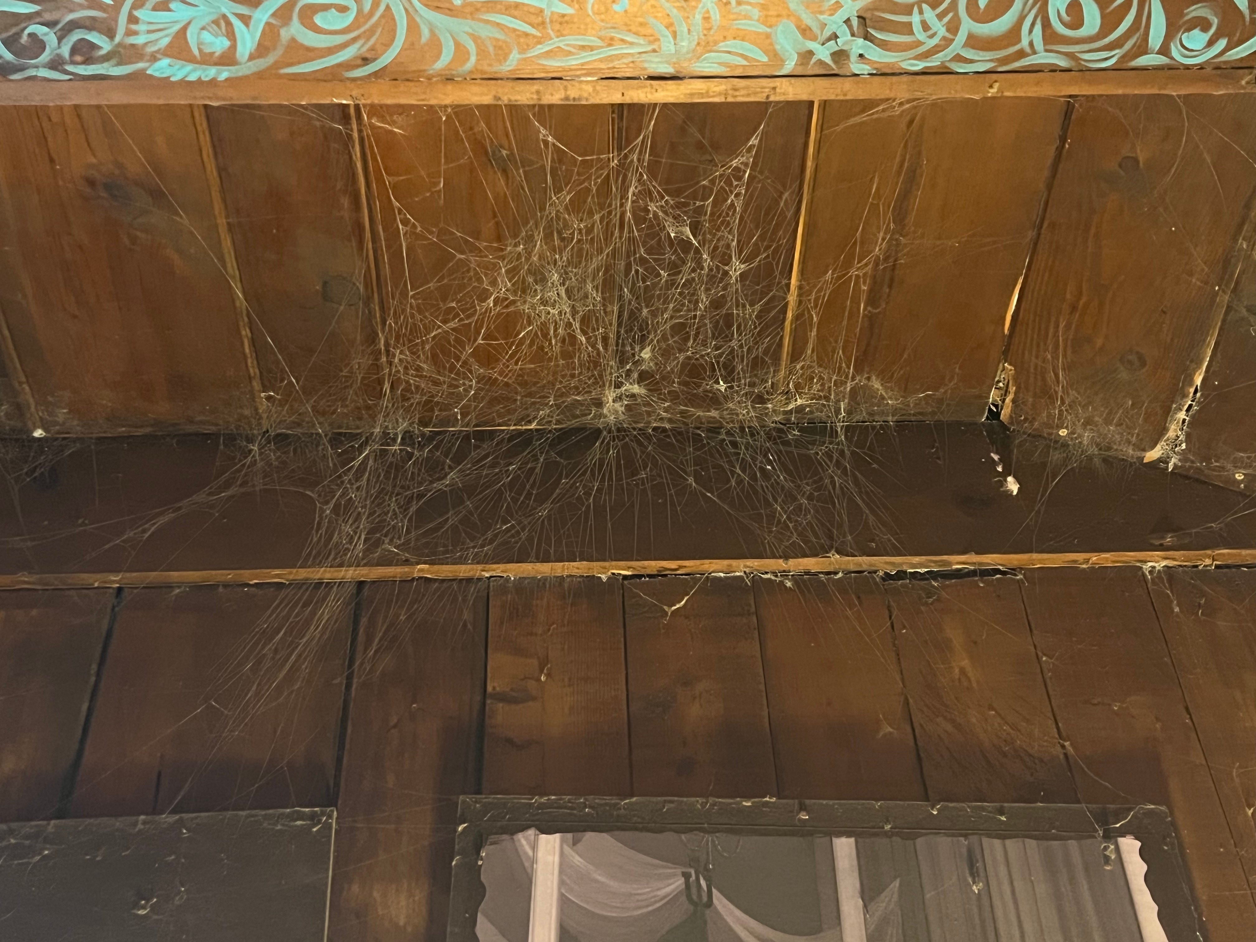 Dirty, Filthy House - by E. Jean Carroll - Ask E. Jean