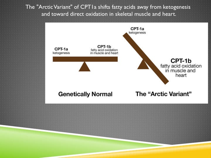 37. Inuit Genetics Show Us Why Evolution Does Not Want Us In Constant ...
