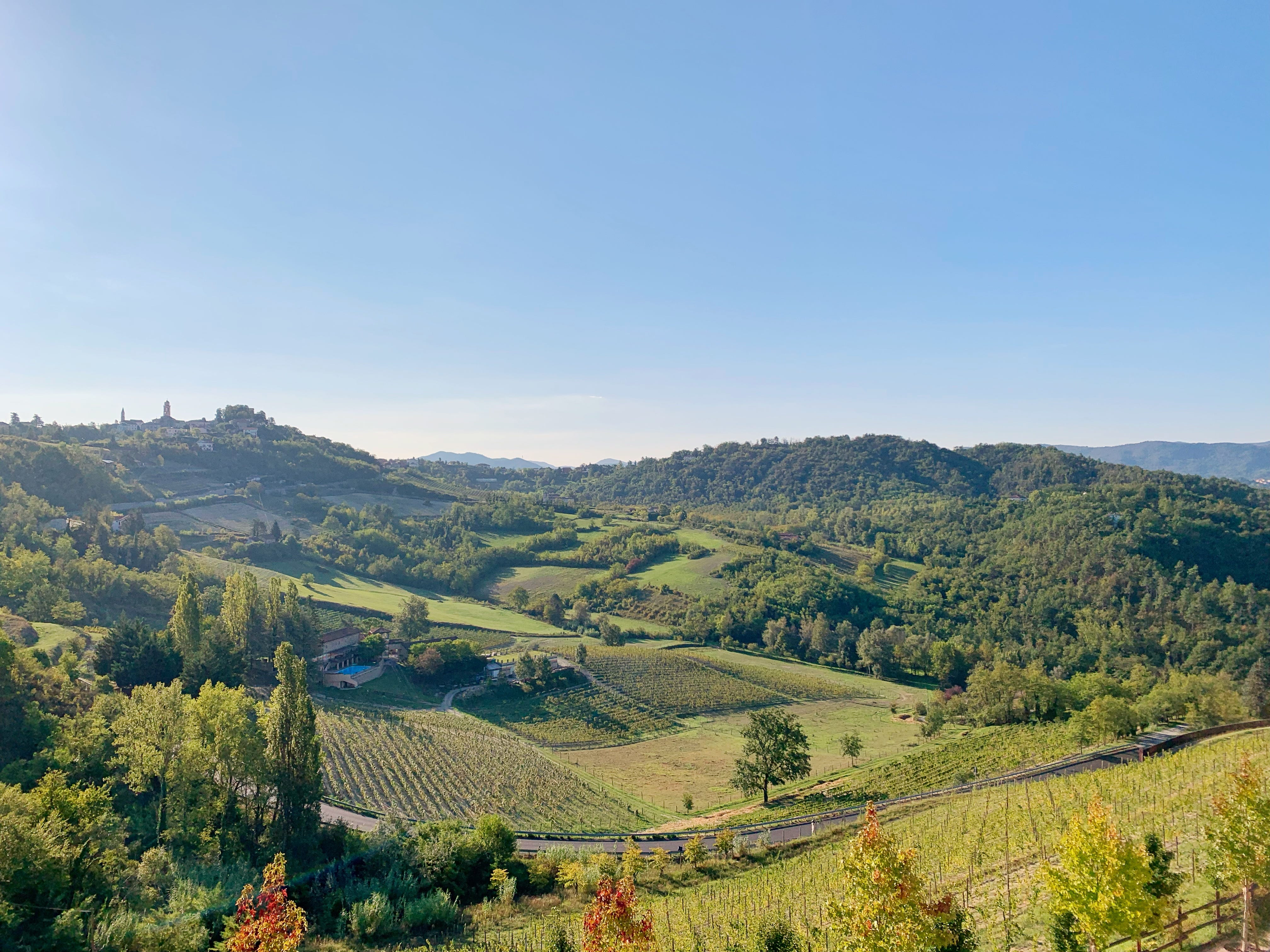 Why You Should Plan a Trip to Piedmont - by Laura Itzkowitz