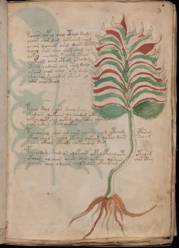 The Most Mysterious Book in The World - by Robert Walrod