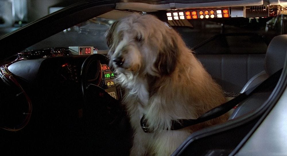 Snake detection theory - by William Buckner