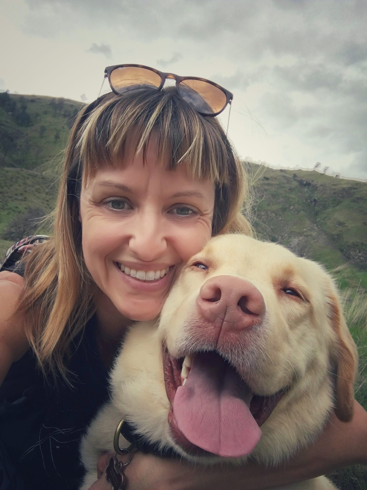 Liz Kover | Substack