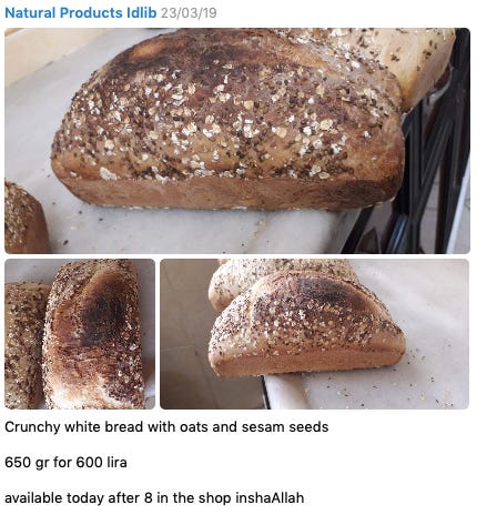 Ugebrev #21 - by Hetav Rojan - Ekstremt Indhold