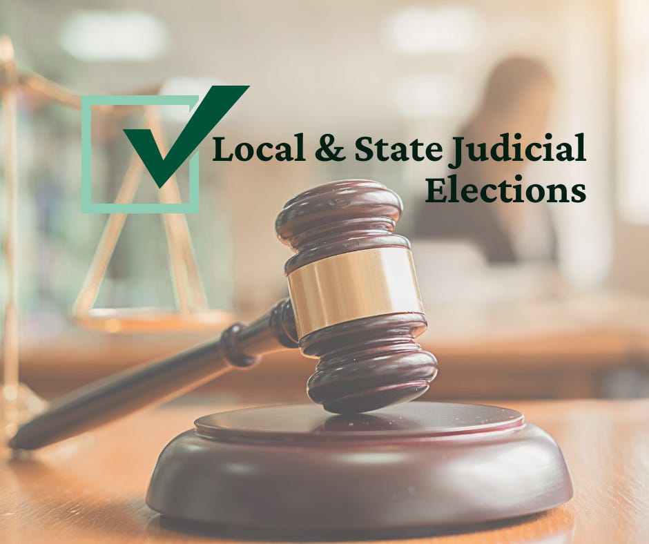 State and Local Judge Elections - by Julie C. Hancock